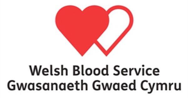 Vale comprehensive students and staff roll up their sleeves to help ...