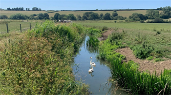 Work begins to enhance biodiversity along the River Thaw