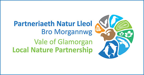 Vale Nature Partnership Community Grant